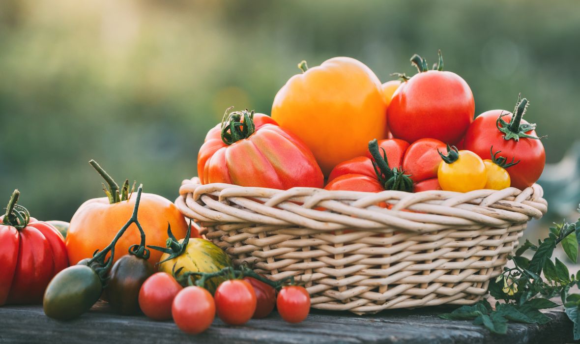 All You Need To Know About Tomatoes. - Happiness Tomato